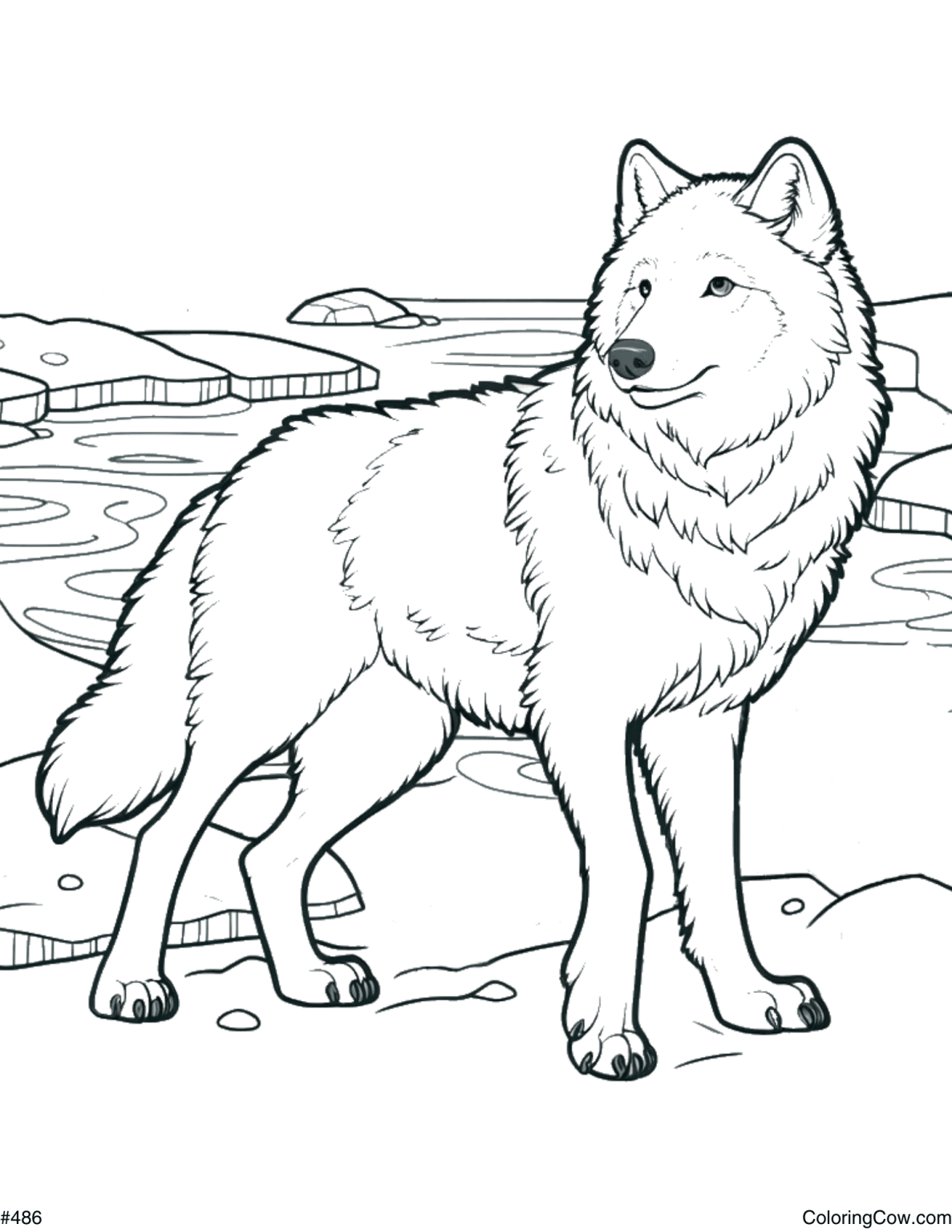Arctic Wolf Coloring Page