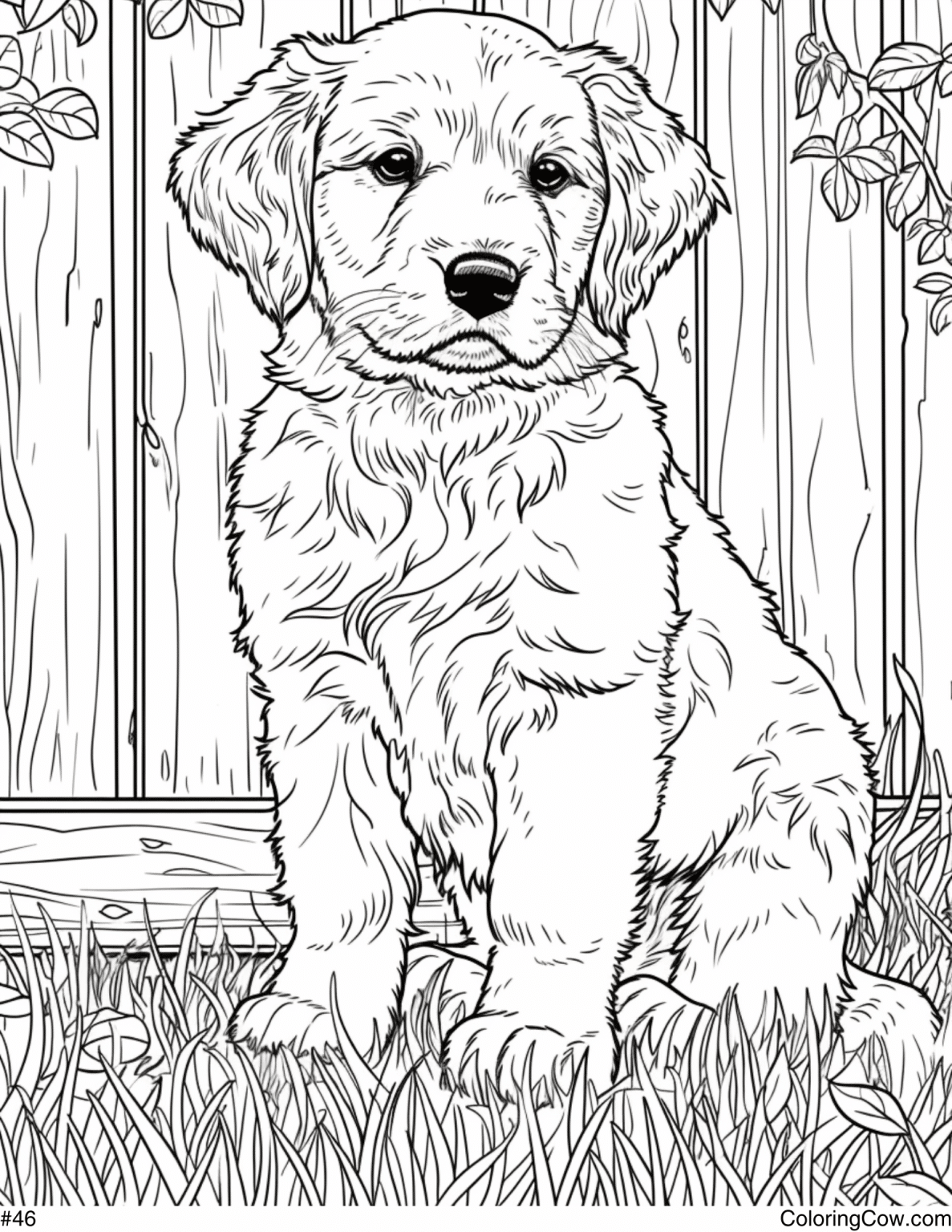 Golden Retriever Puppy Coloring Page