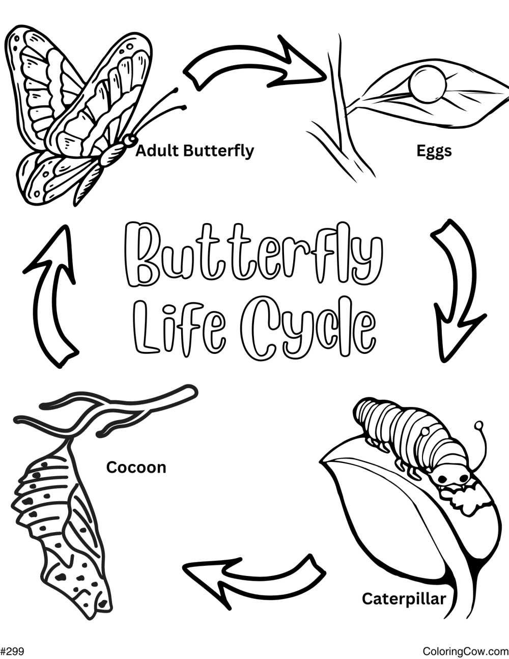 Life Cycle of a Butterfly Coloring Page