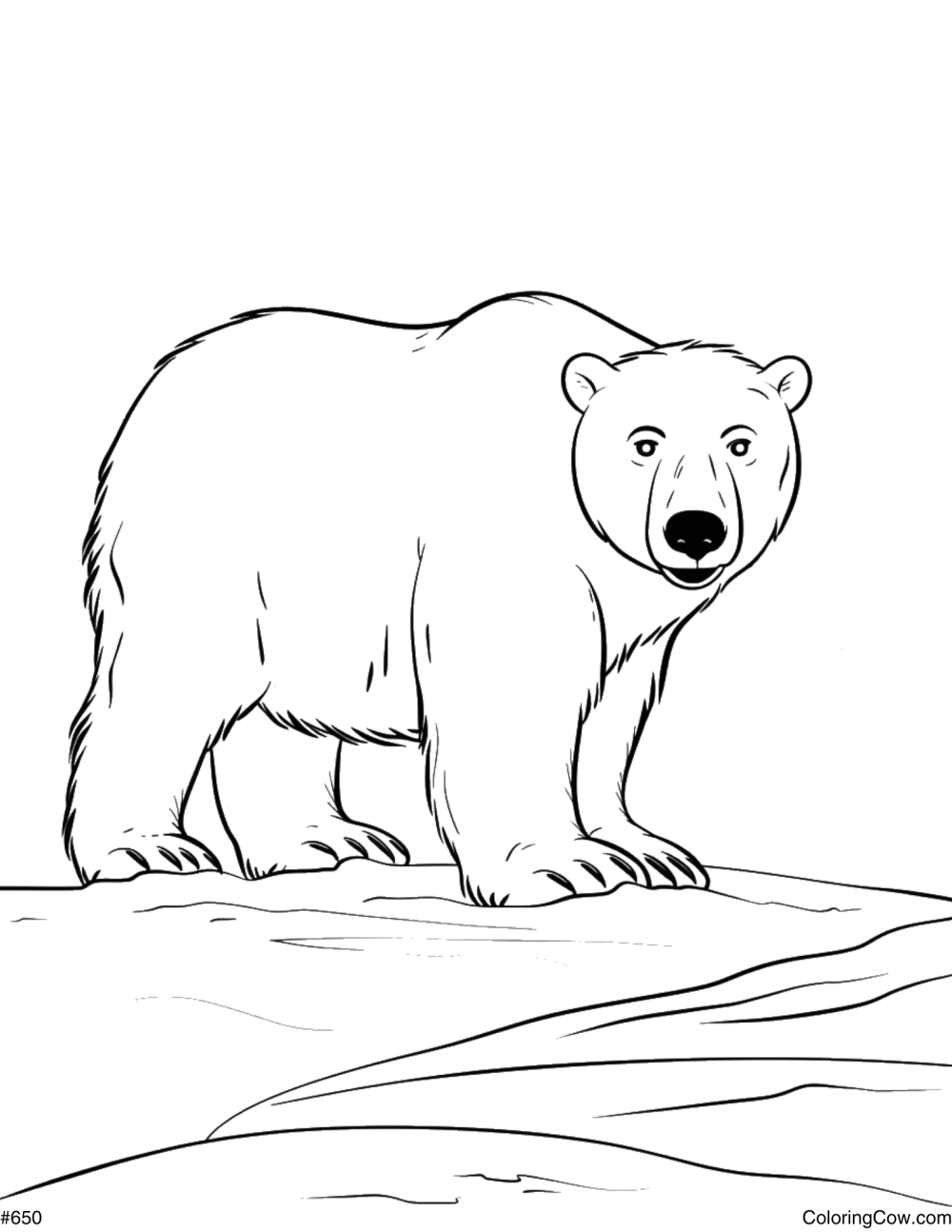 Polar Bear Coloring Page