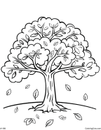 Fall Tree Coloring Page