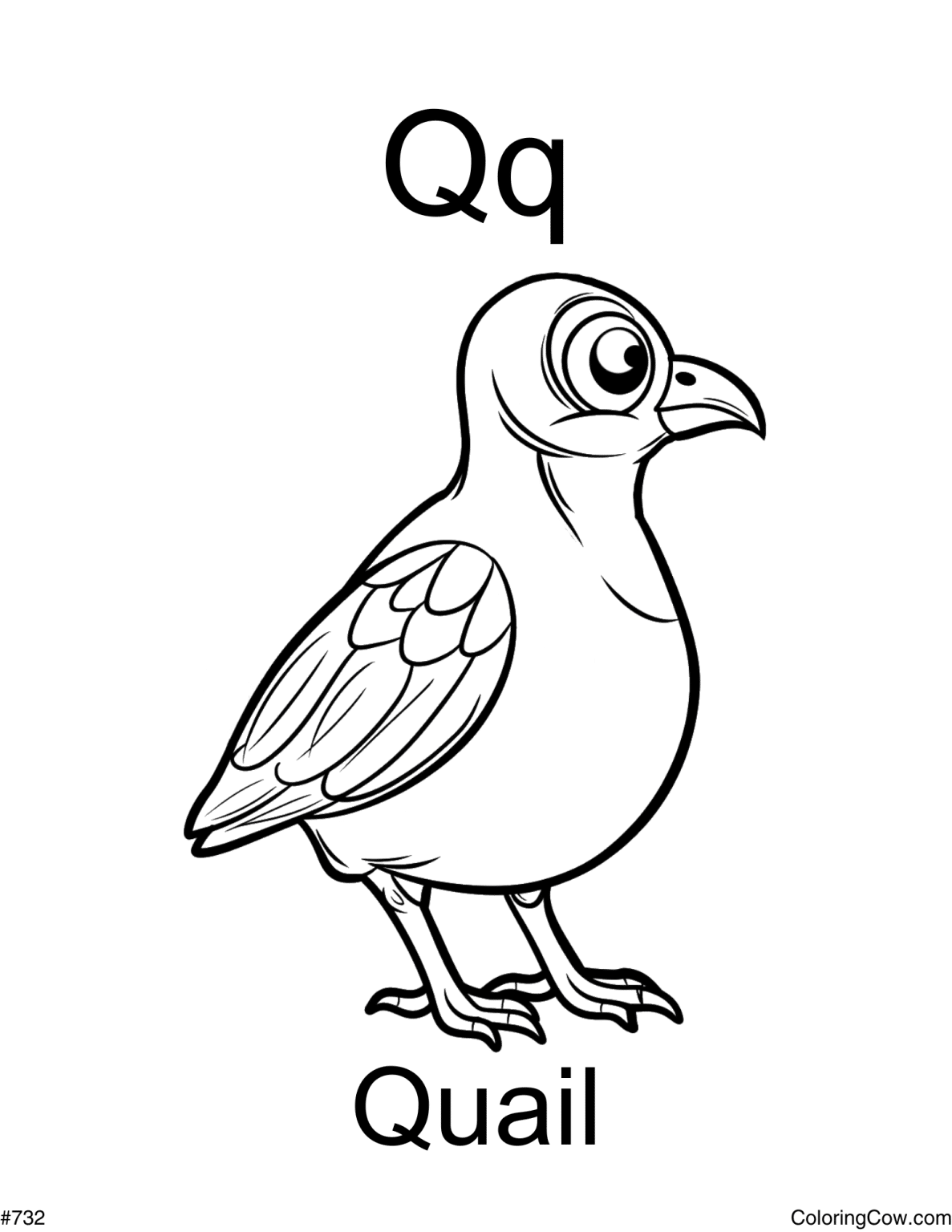 Q Is for Quail Coloring Page