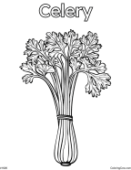 Celery Coloring Page