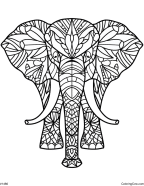 Elephant Mandala Coloring Page