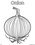 Onion Coloring Page