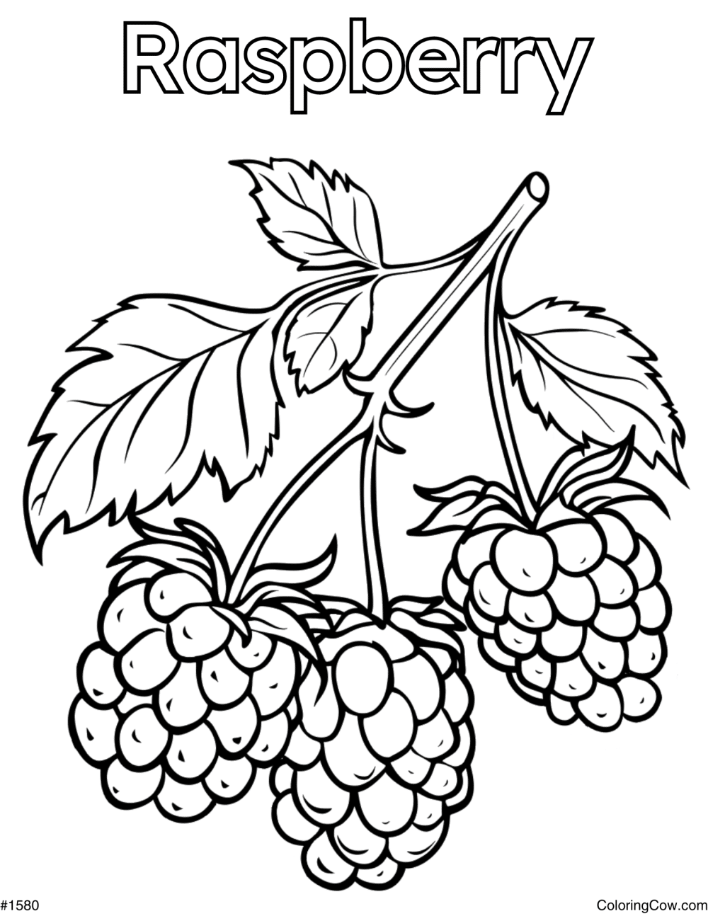 Raspberry Coloring Page