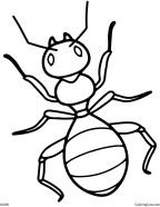 Ant Coloring Page