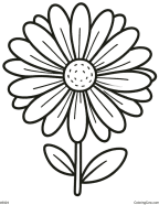 Daisy Flower Coloring Page